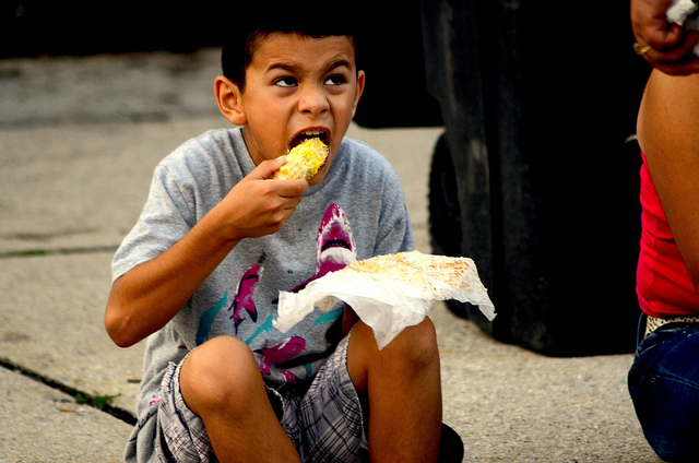 Hungry Hungry Humans and the Bread of Life | Stewardship of Life